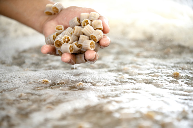 Biosipec Advance - Ocialis