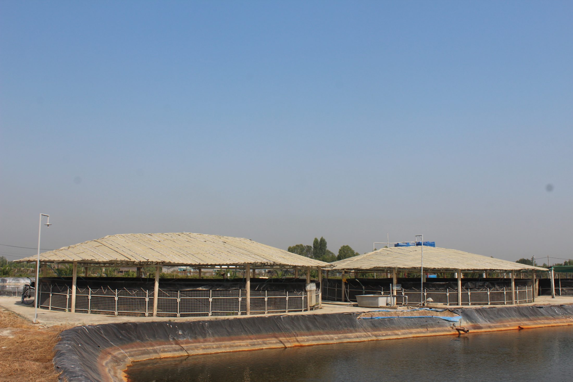 Biosipec Standard - Ocialis