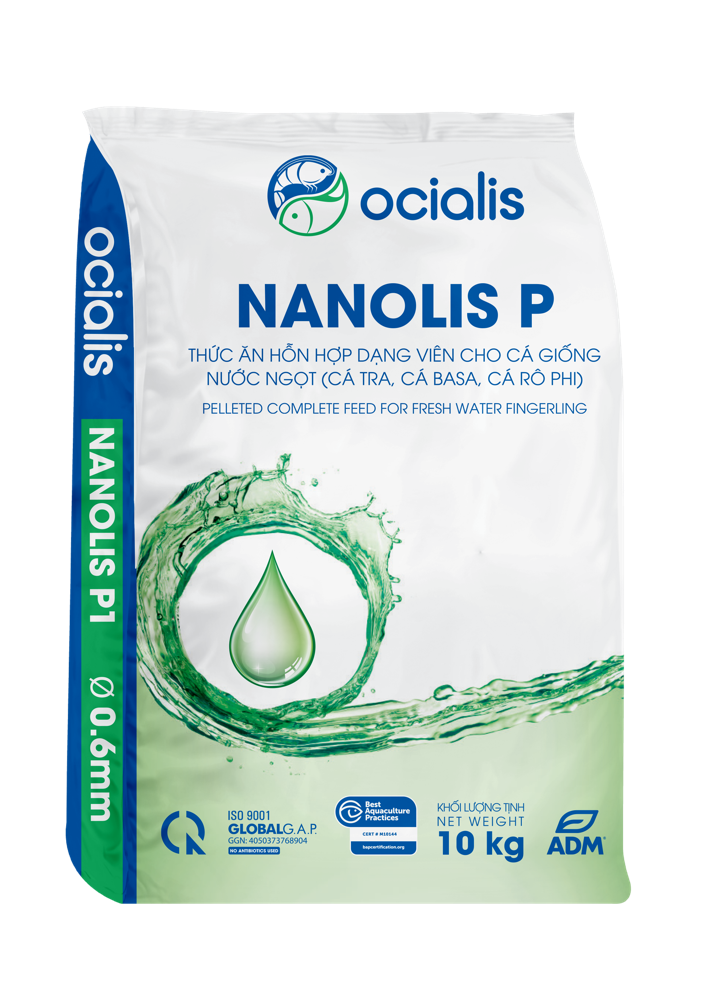 Nursery feeds Archives - Ocialis