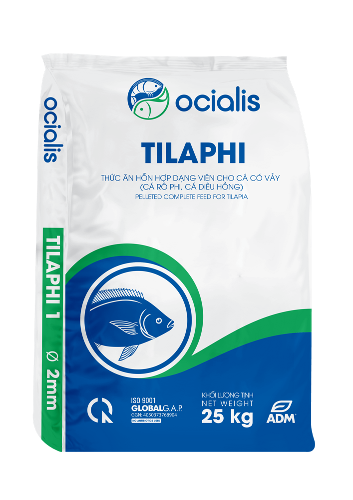 TILAPHI - Ocialis