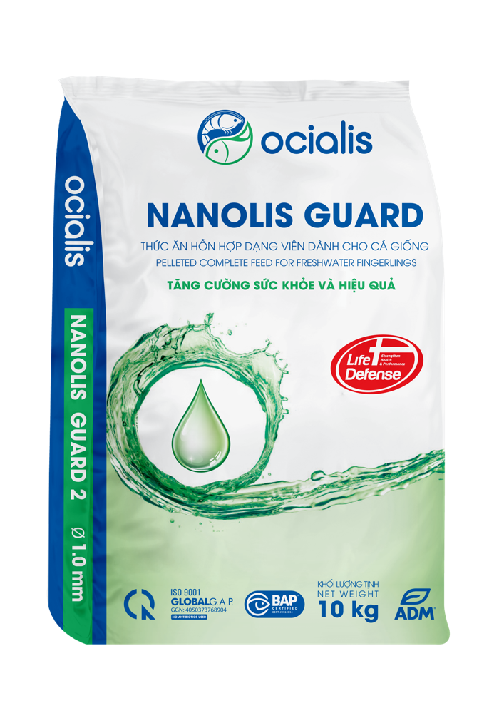 Nursery feeds Archives - Ocialis