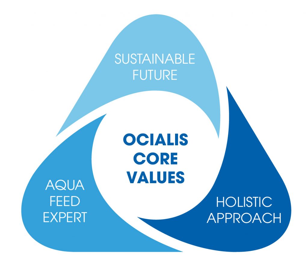 Brand Promises & Core Values - Ocialis